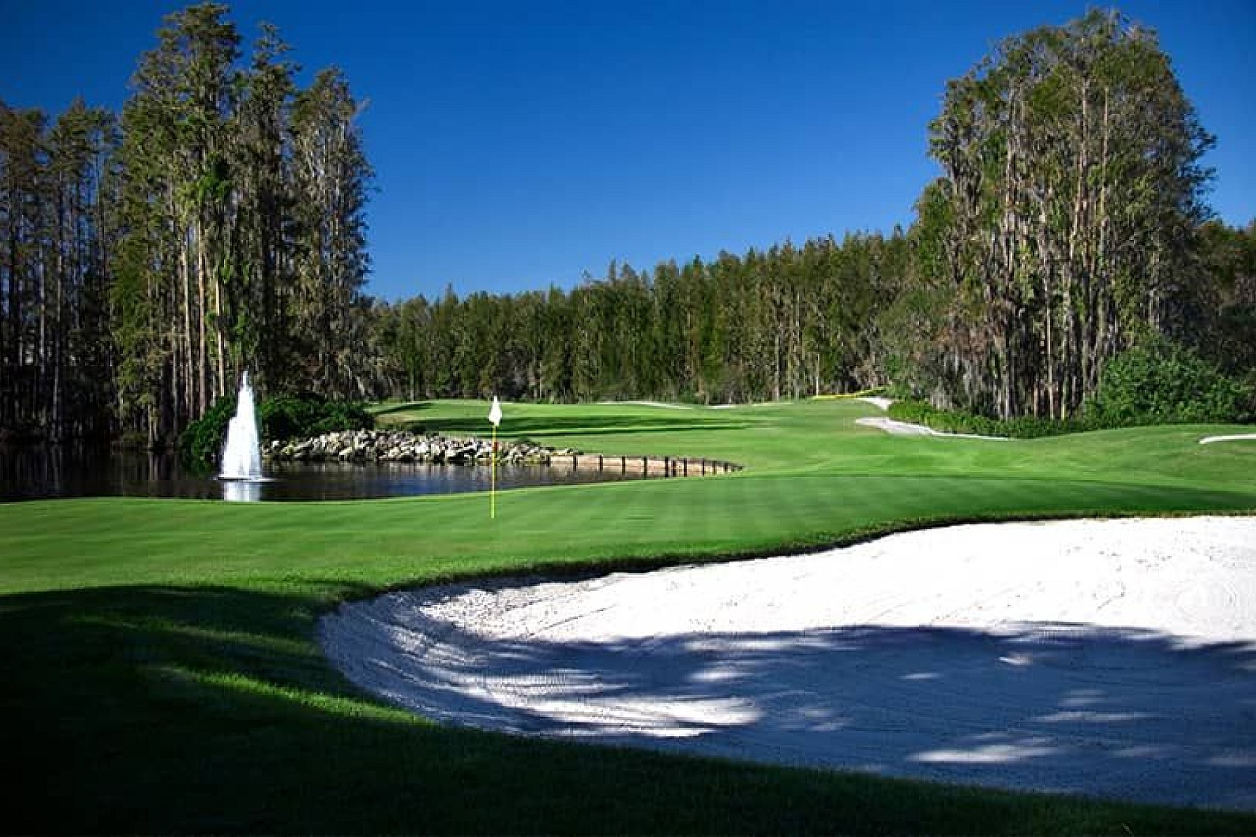 Florida Golf Packages - Tampa Saddlebrook Resort | Luxury Golf Vacation ...