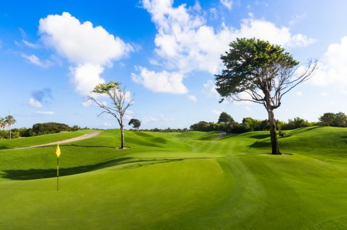 Arizona, Florida, Myrtle Beach, and other golf vacation package deals ...